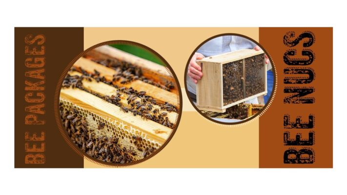 Bees and Equipment – Will County Beekeepers Association